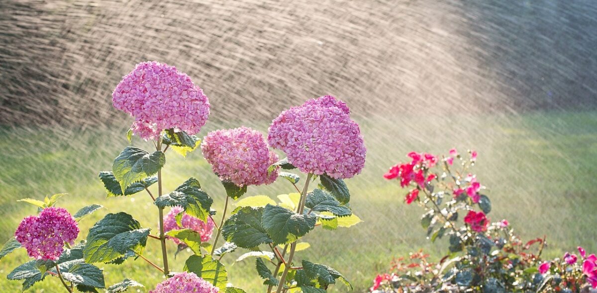 Summer approved: Smart irrigation systems | Hestia Magazine